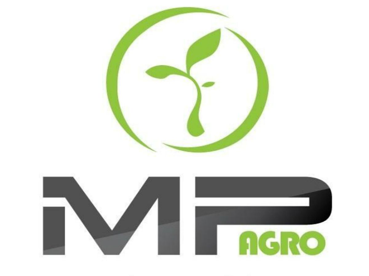 Two thousand fertilizers came in MP Agro, farmers were seen getting ...