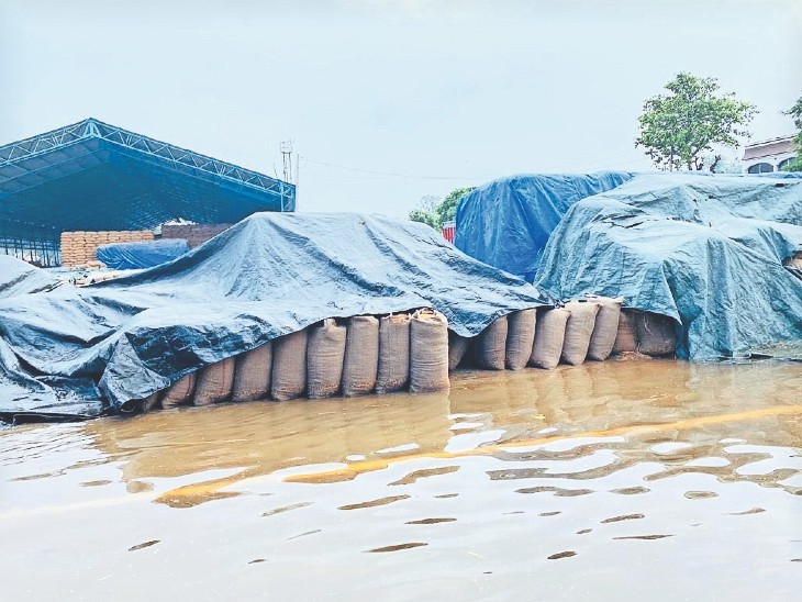 78 mm of rain in Radaur, roads became ponds due to rain | खेतों में ...