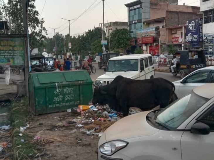 Door to door garbage collection will be done from the streets and lanes ...