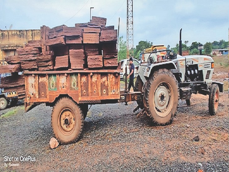 Seeing the forest team, the driver ran away leaving a tractor-trolley ...
