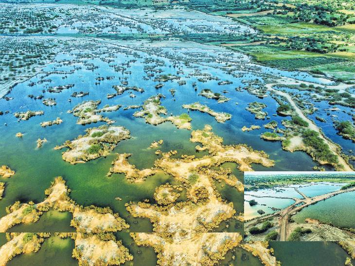 Potholes emerged from illegal mining. Area spread over 333 hectares ...