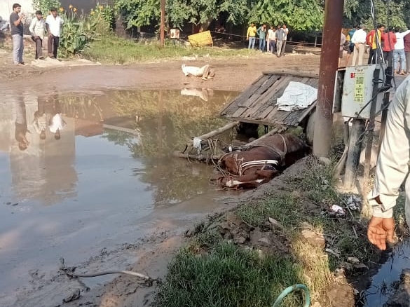 The tonga driver was scorched, the passengers were shocked | बदायूं में ...