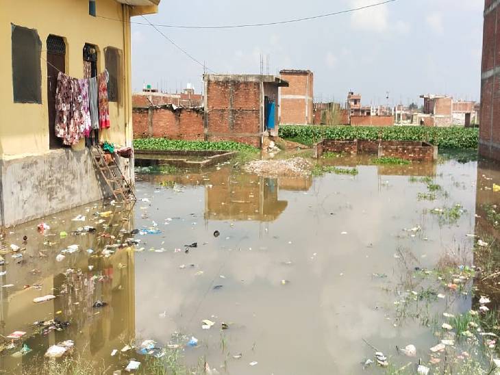 Ganga's water level reached the warning point, flood water started ...