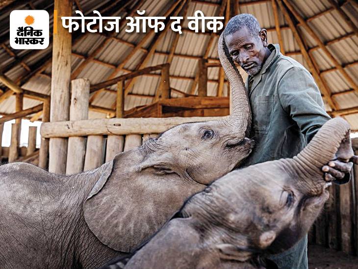 Best Photos Of The Week; Australia Flood, Kenya Baby Elephant Rescue ...