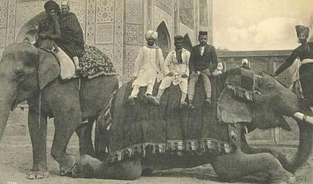 There was once a ramp walk of elephants on the Taj Mahal, elephants ...