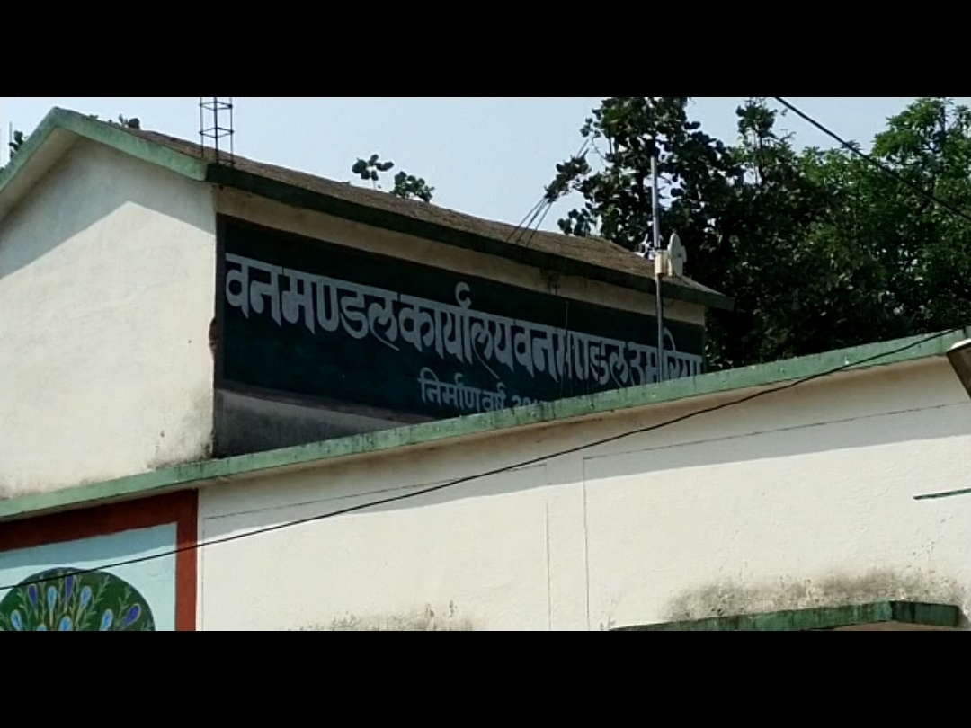 New place posted for 10 forest guards including one deputy forest ...