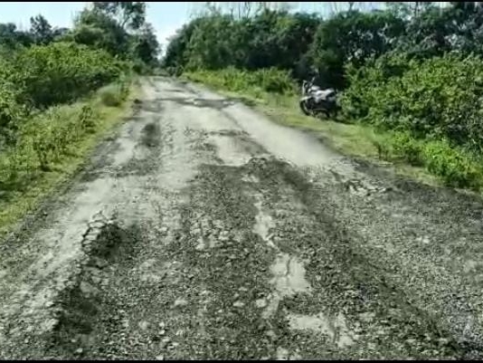 Turns into mud in rain, students are having trouble going to school | बारिश में कीचड़ में हो ...