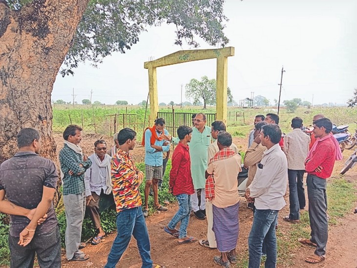 No fodder and water system in Sarda's Gauthan, 7 cattle died, Gram ...