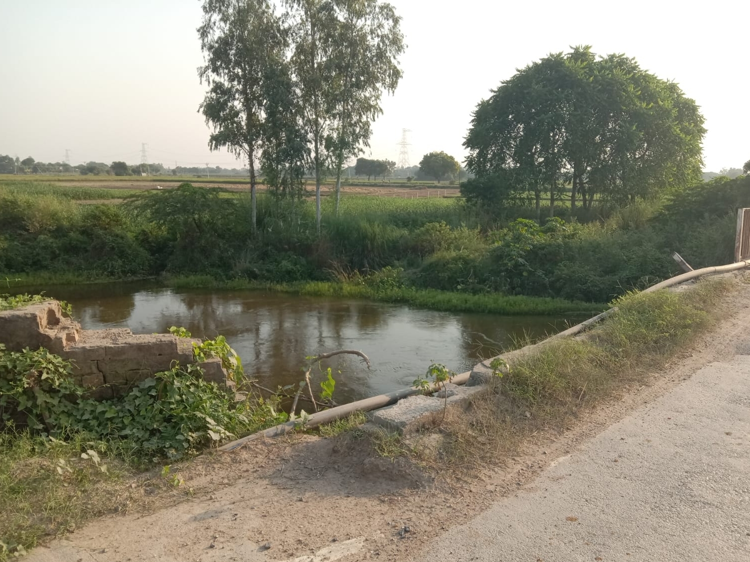 Railing of Purha river bridge broken in Bidhuna-Achhalda road There is ...