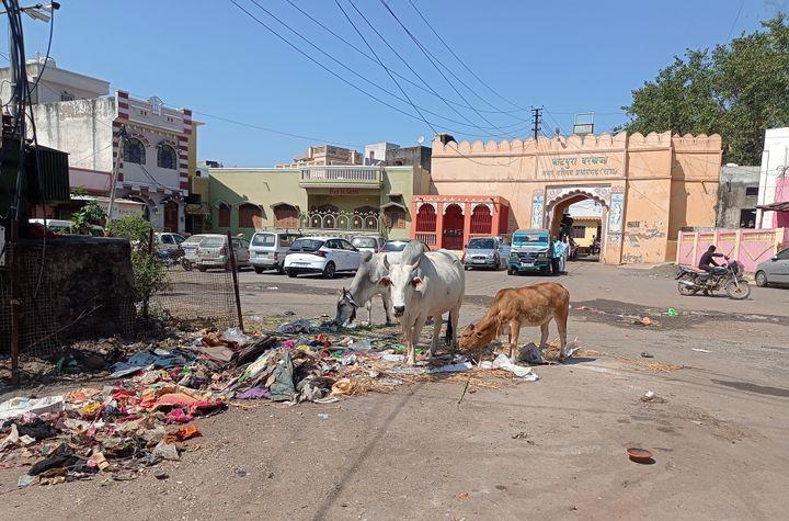 Garbage piles visible in public places, drains jammed at many places ...