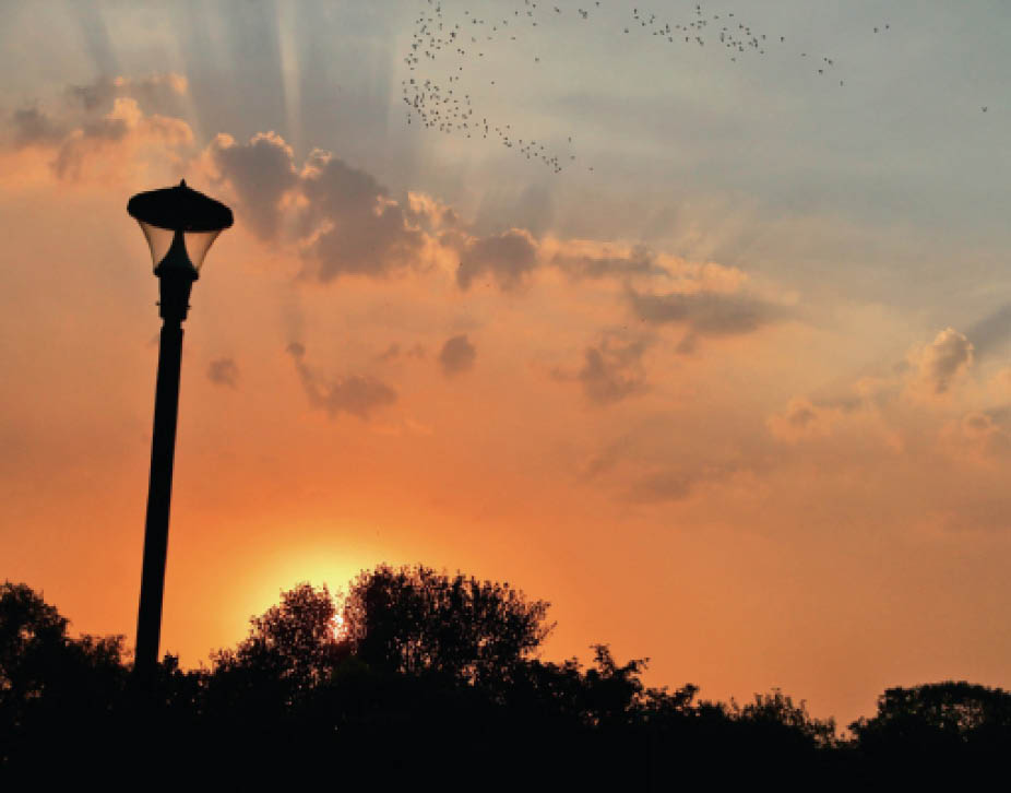 There is not much difference in temperature due to moisture retention ...