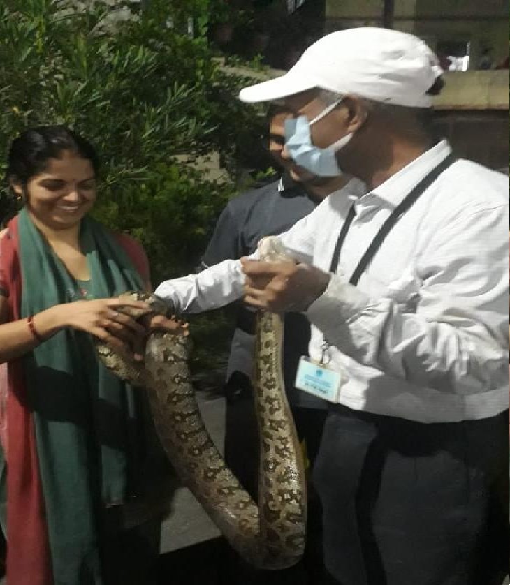 Snake Rescue Case Updates in Prayagraj: Green Man Prof. NB Singh did ...