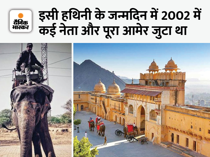 Rajasthan Hathini Gori & Kachori Story; Slam Shopkeeper In Jaipur ...