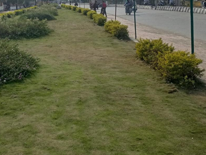 मेन रोड अब कहलाएगा लाडली लक्ष्मी पथ, 2 नवंबर को होगा लोकार्पण | Main ...