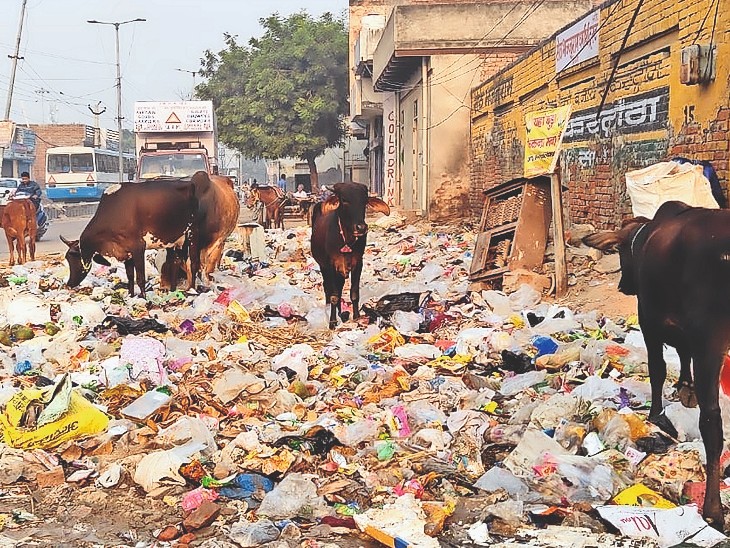 In three days, 1000 tons of garbage deposited in the city will be first ...