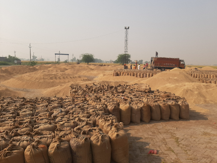 6% more purchases than last year, the arrival of Muchhal-1121 increased ...