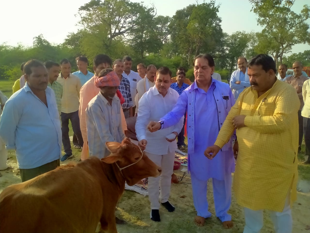 Shri Krishna Gopashtami celebrated in Jaisinghpur Gopalkas and farmers ...