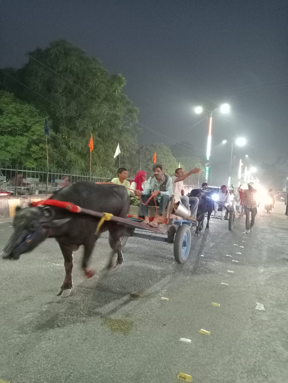 Mundasa, decorated bullock cart and placard of Pakistan Murdabad on the ...
