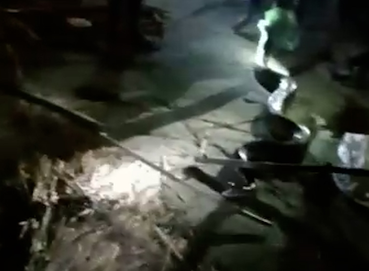 See, rescue of 15 feet python, python was entering the house | घर में ...