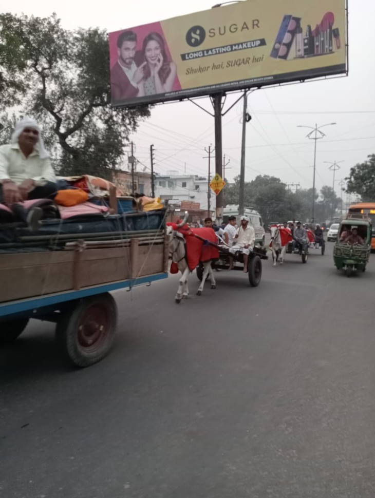 Mundasa, decorated bullock cart and placard of Pakistan Murdabad on the ...