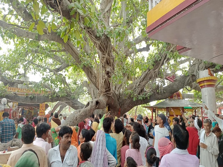 To be held in Shukratal of Muzaffarnagar from November 5 to 8, the city ...