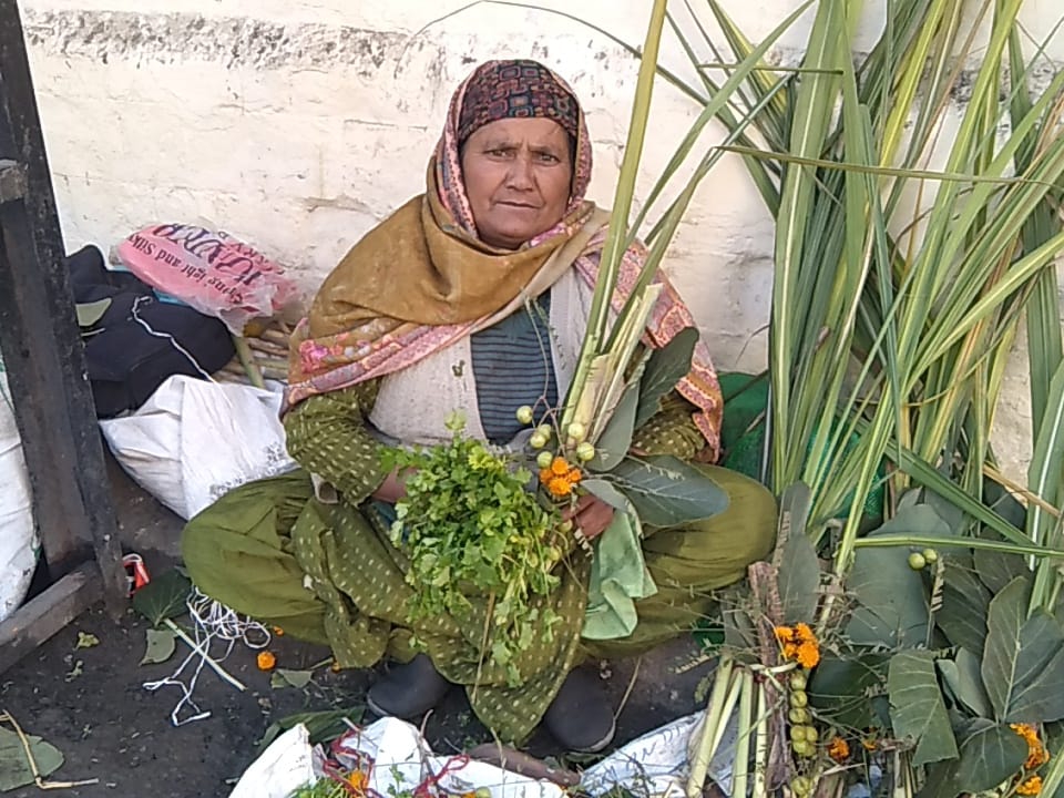 Tulsi Puja and Panch Bhikhu Vrat, Worship Tulsi Mata by keeping Amla ...