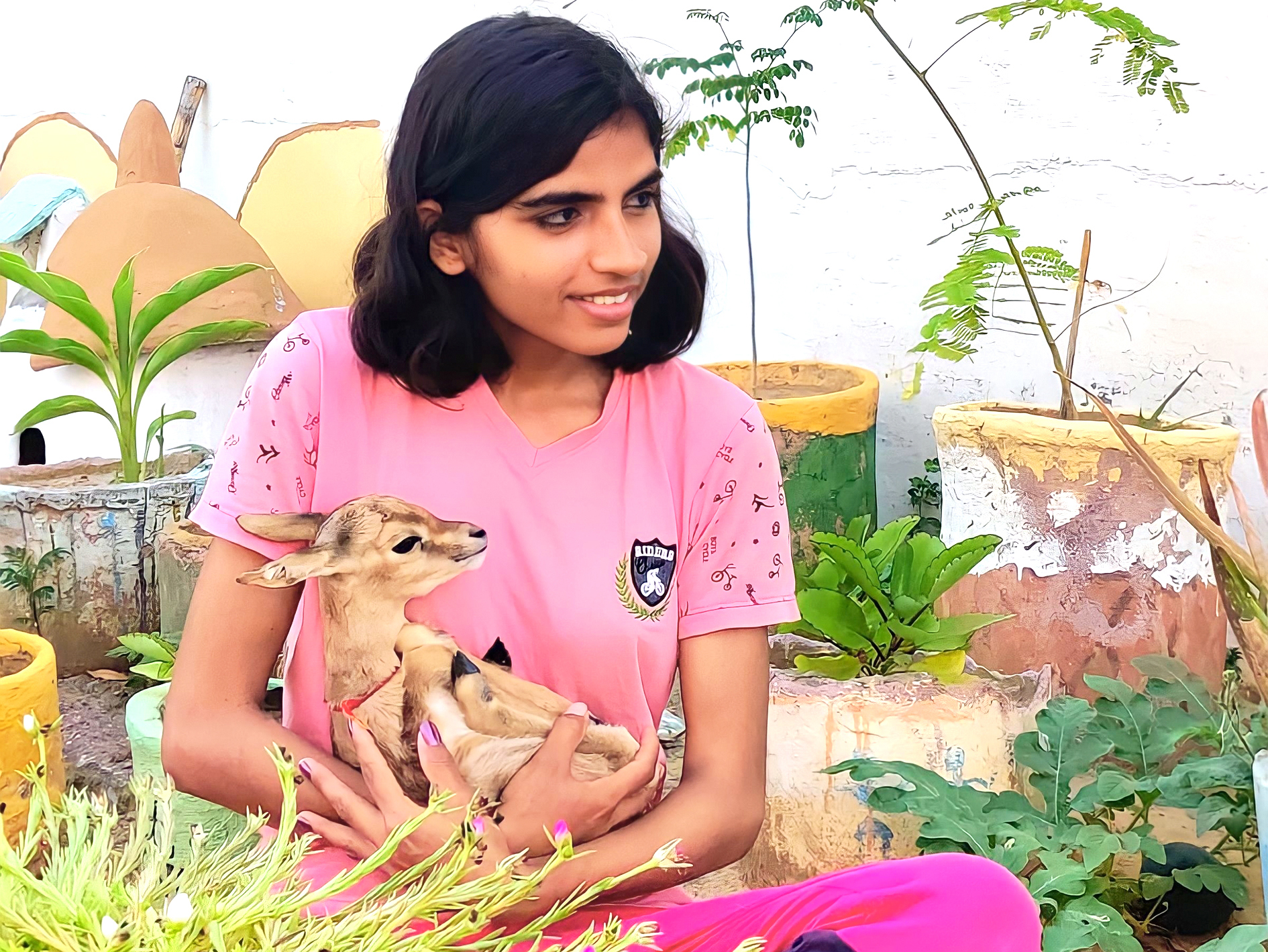 Bishnoi society has a special attachment to deer, read the hallmark of ...