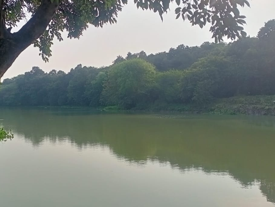 Kapurthala- Kanjali wetland lake became absolutely clean, Guruparb gift ...