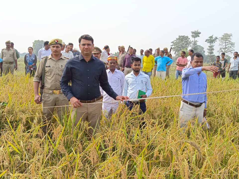 An exercise to know the average of paddy production in the district ...