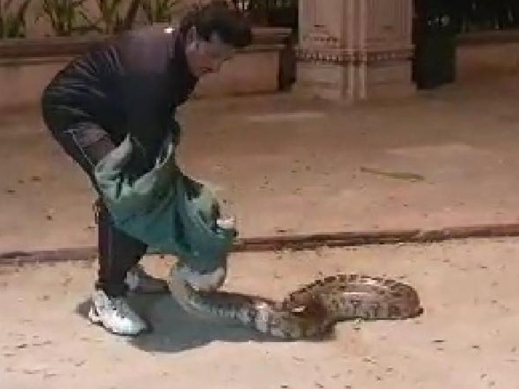 Rajasthan kota Rescue of Python in Nehru Park, Govind Sharma | 11 फीट ...