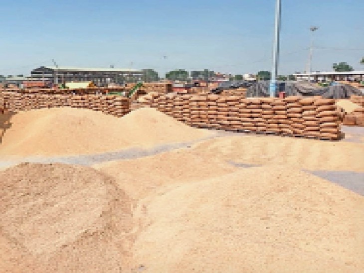 97 percent of the 9.57 lakh metric tonnes of paddy arrived in the ...