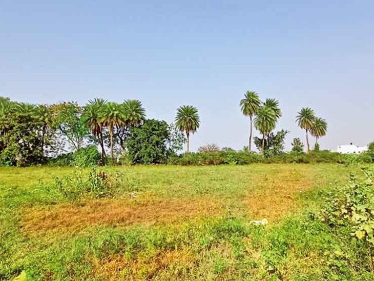 Land screw in Amla, mini stadium not built after approval in Shahpur ...