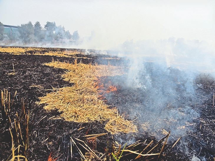 Difficulty in breathing due to the smoke of stubble-crackers, up to 40% ...