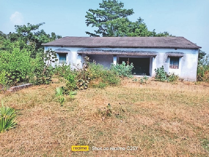 Facilities for scientific farming will be available soon from the farm ...