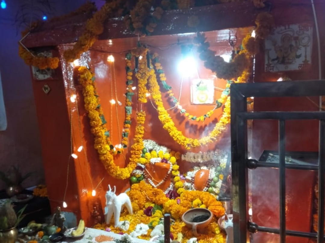 Devotees celebrated Bhairav Baba's birthday by cutting cake | धूमधाम से ...