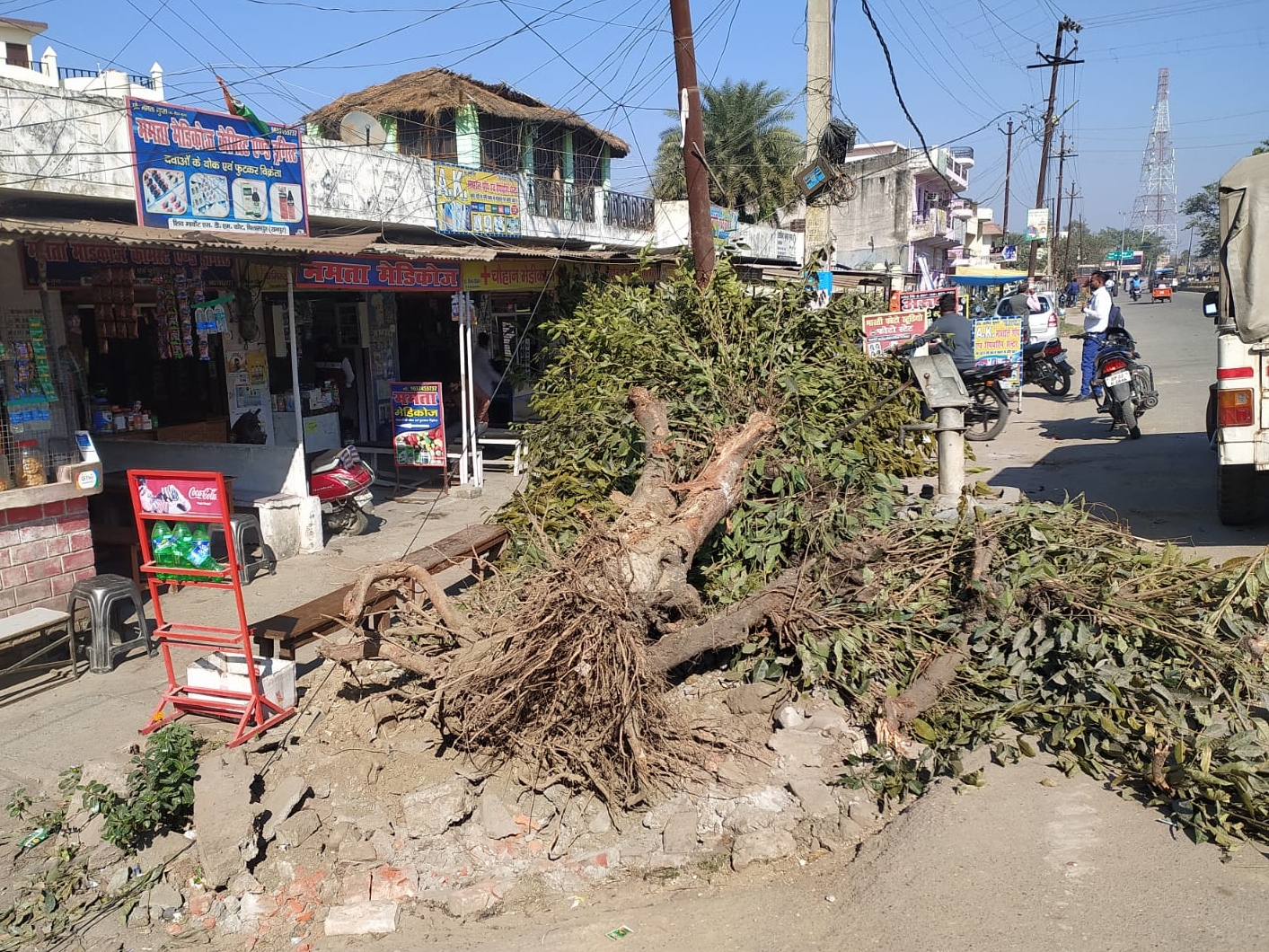 शरारती तत्वों ने पाखड़ के विशाल वृक्ष को जेसीबी से ढहाया, दुकानदारों ने ...