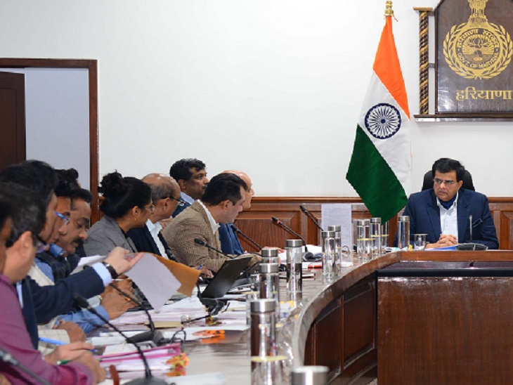 Exhibition farms set up natural farming in Haryana; Trial started in 5 ...