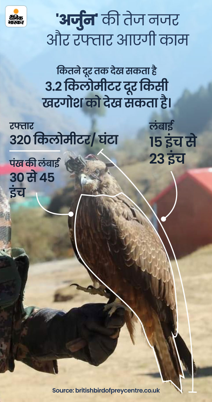 Indian Army Spy Eagle Arjun Features Explained | India China Dispute