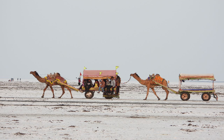 Rann of Kutch: Beauty will be scattered even on the salt plain | रसरंग ...