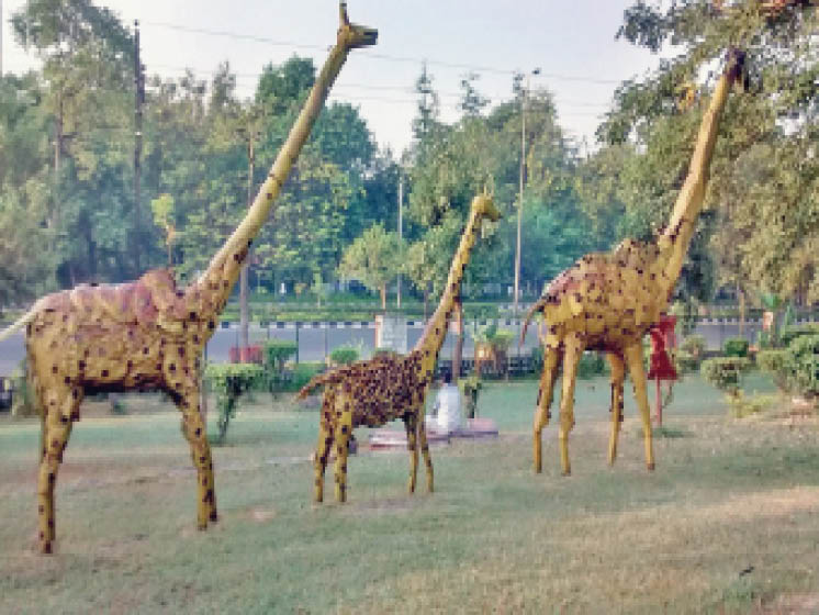 Chinar Park, built in 1980, was the first use of junk in the city, to ...