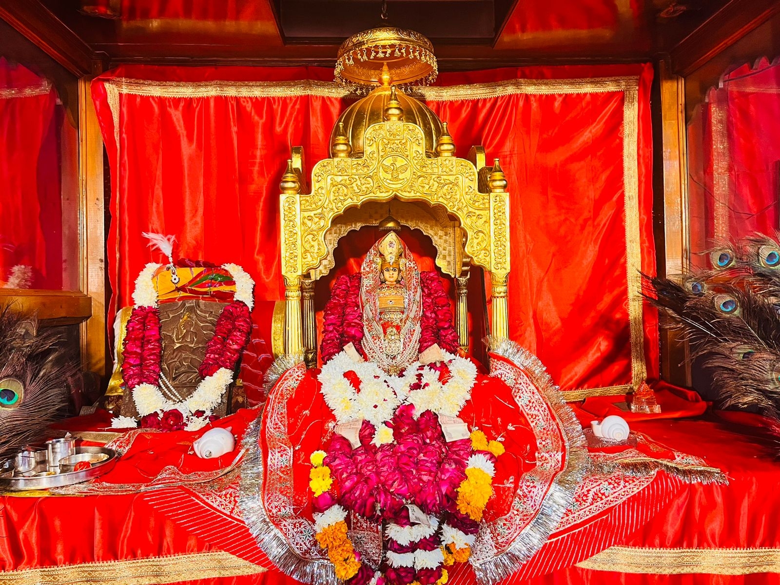 नाचते-गाते श्रद्धालु माजीसा की भक्ति में रंगे, घंटों लाइन में लगकर किए ...