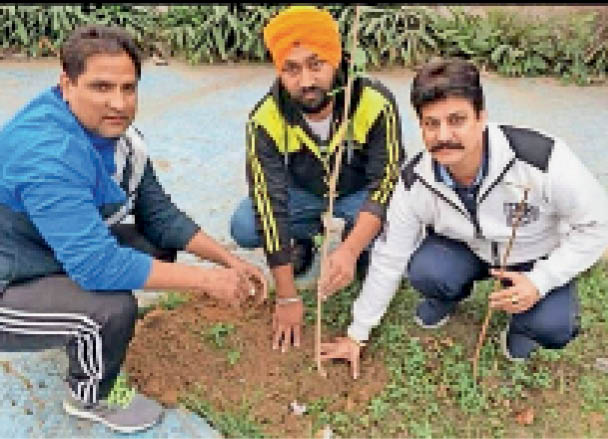 Day to inspire for soil conservation, 5654 trees were cut to make ...