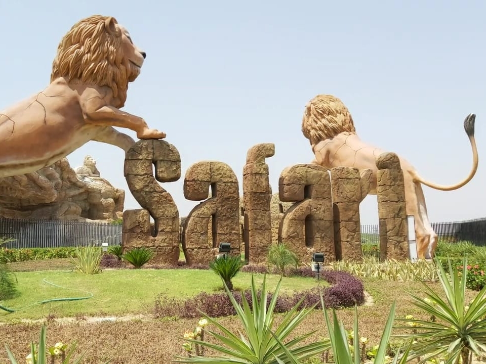 Instead of two, now 4 lionesses will be seen, next week two lions will ...