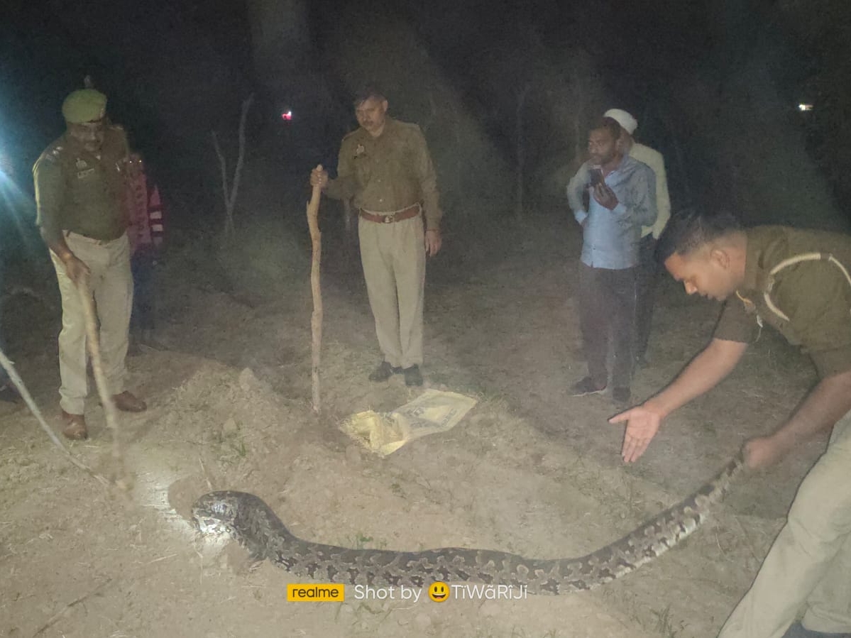 The farmers working on the farm came in panic, the police rescued them ...