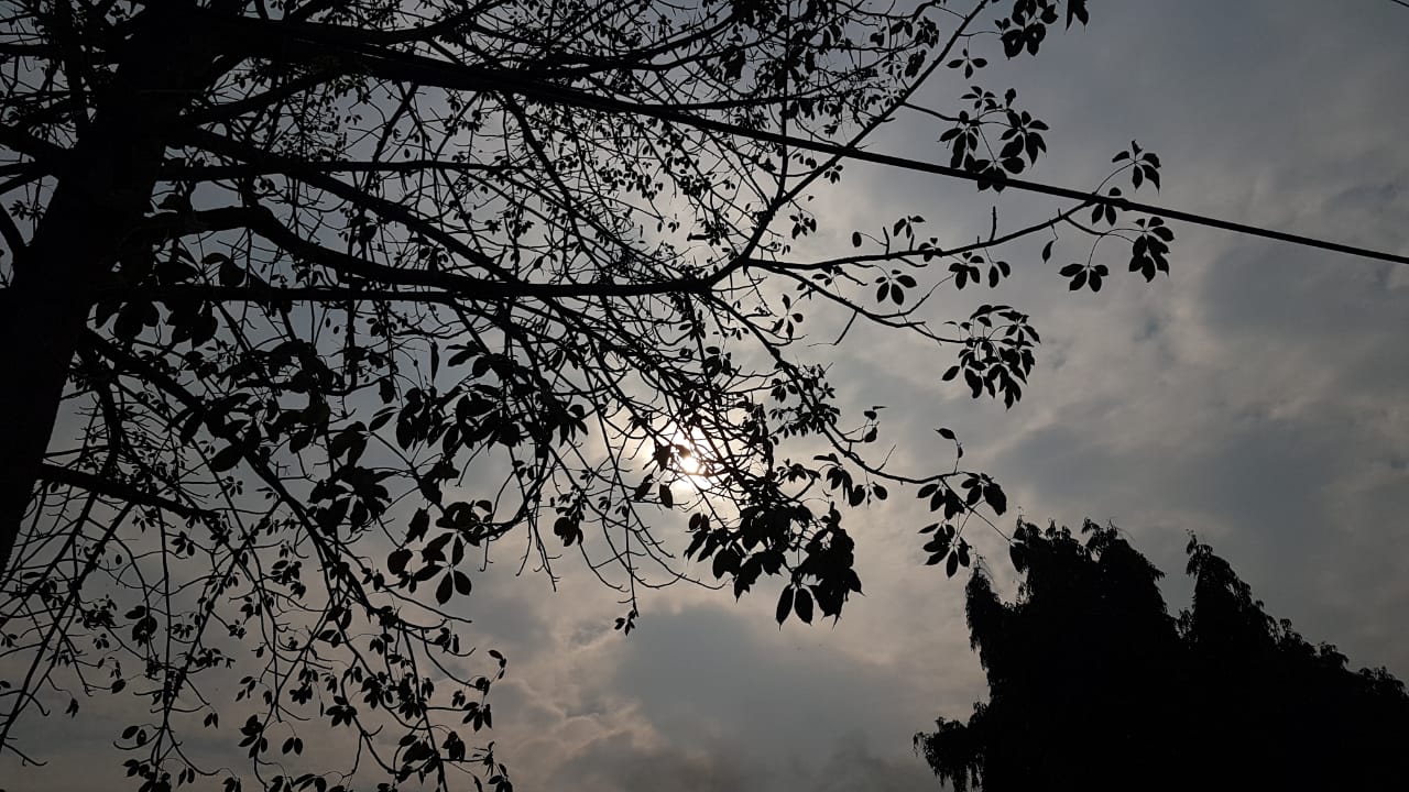 Raipur weather mist and fog in the afternoon cold weather mandaus storm ...