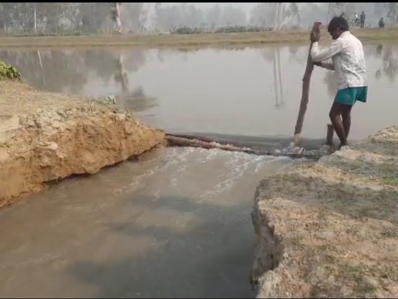 Sharda subsidiary canal suddenly burst, crops of more than 12 farmers ...