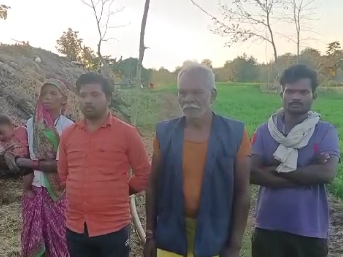 A cattle was hunted near the fence, one was injured; panic among ...