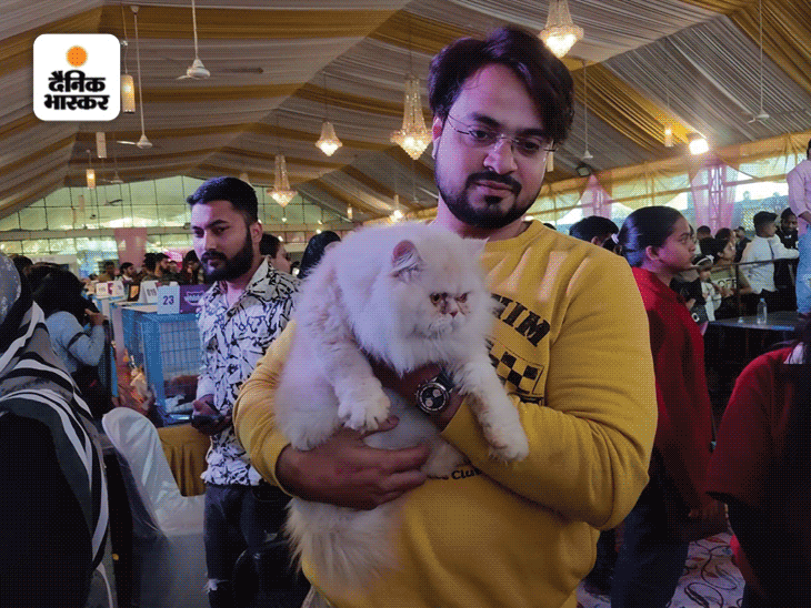 Bhopal's cat man orders from Russia, spends 4.25 lakhs every year on ...