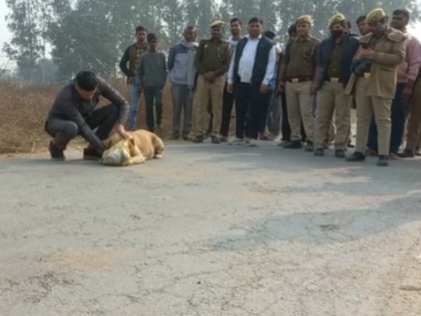Officials camped in the village, BJP MLA met the victim's family | 72 ...