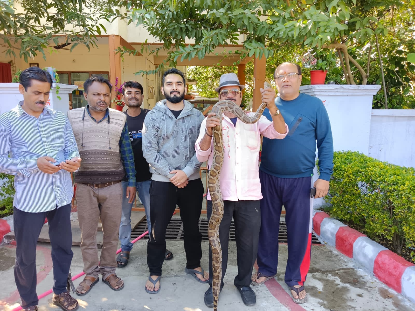 Seeing a 12 feet long python, there was a stir among the children, it ...